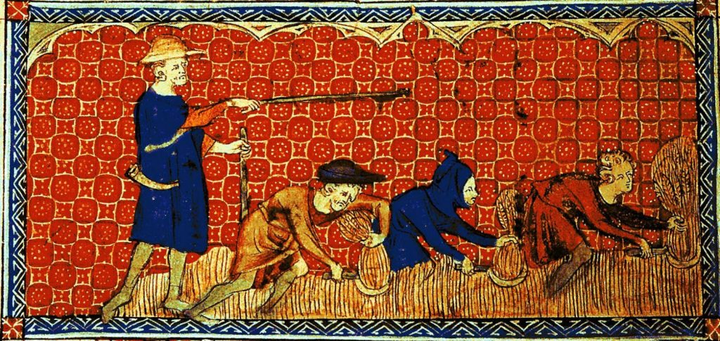 Polskie państwo jest jak feudalny właściciel ziemski - Portal Tuudi.net